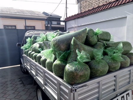 Silos qoplangan 20 kg qopda 18000 sum.