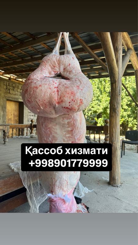 Эҳсонликка ва Ақиқага қўйлар, калла поча, хасип