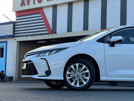 TOYOTA Corolla 2023