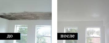 Удоляю недоброжелательную плесень и грибок без вреда для ремонта