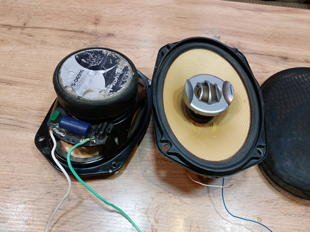 Pioneer kalonki ts