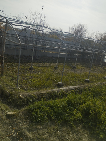 Yozgi tiplitsa 1 soʻtigʻ