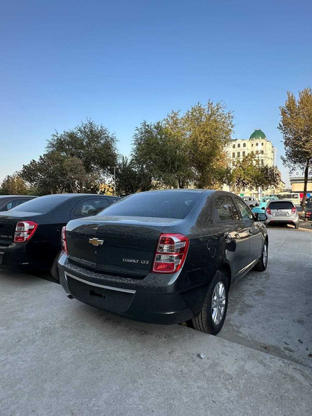 bolib tolashga COBALT AT 2023