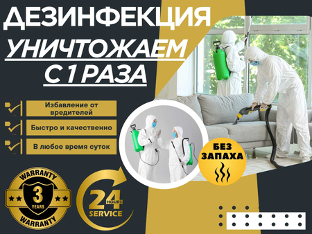 Дезинфекция Dezinfeksiya klapa klopov tarakan v tashkente