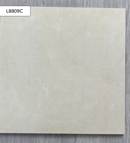 CAC Angren 60x60 kafel 58000