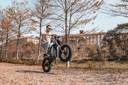 elektro bike на заказ
