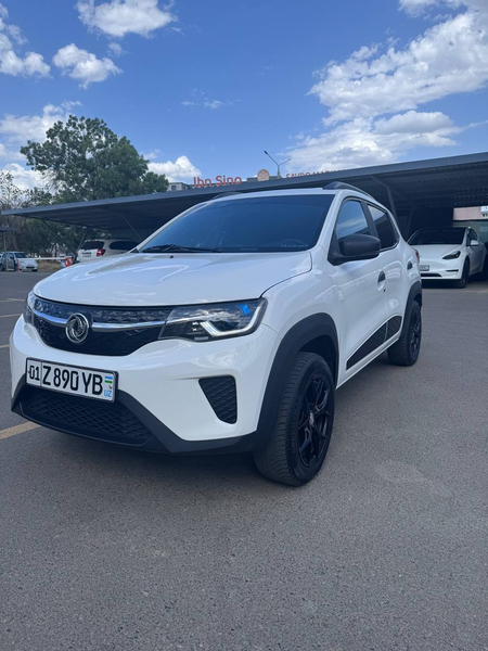 Dongfen ex1 2022
