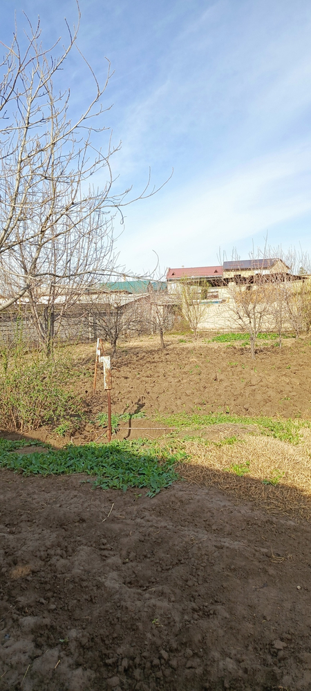 Срочно 1 Продайотся земля