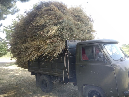 Уаз 3303 сотилади