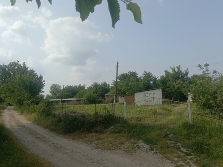 Тайор йарим гектарли вли