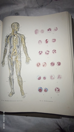 Медицинская книга