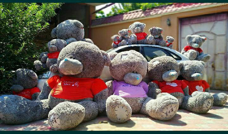 Teddy Teddi Teddiy xitoy orginallari