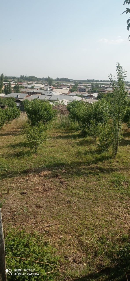 Bog' 6 sotx dakumentlari bor 20.000$