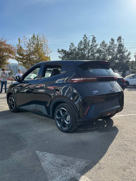 byd seagull spark orniga 405km electro car