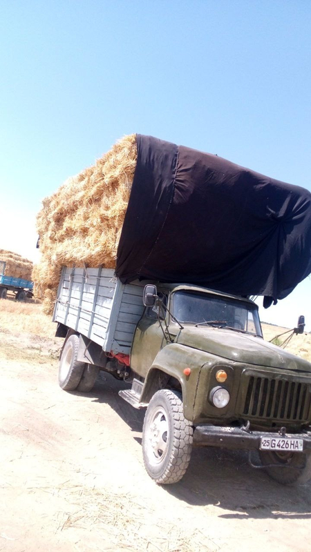 Gaz 53 xaloti alo