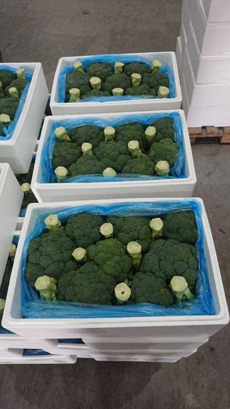 Ящик из Пенопласта, термо яшик, яшик для брокколи, мороженое, рыба