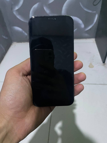 Iphone 12pro max