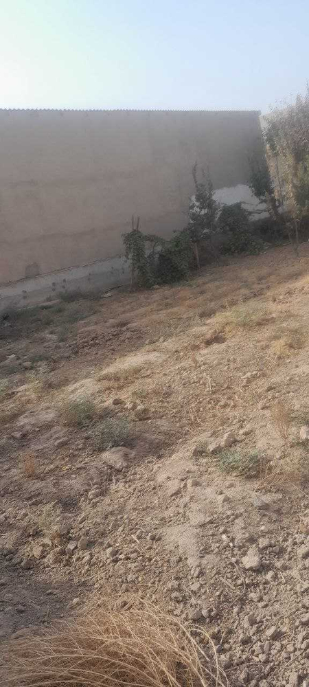 Termiz shaharda 3 sutiq yer  sotiladi xama sharoit bor