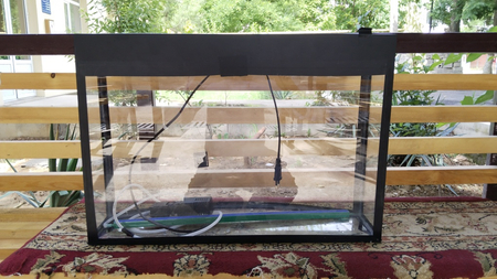 Akvarium baliqlar uchun