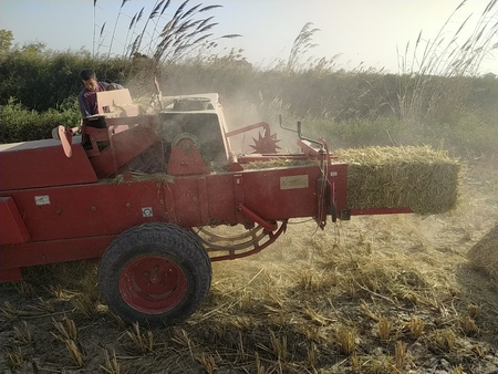 Zed 511 prespadborchik