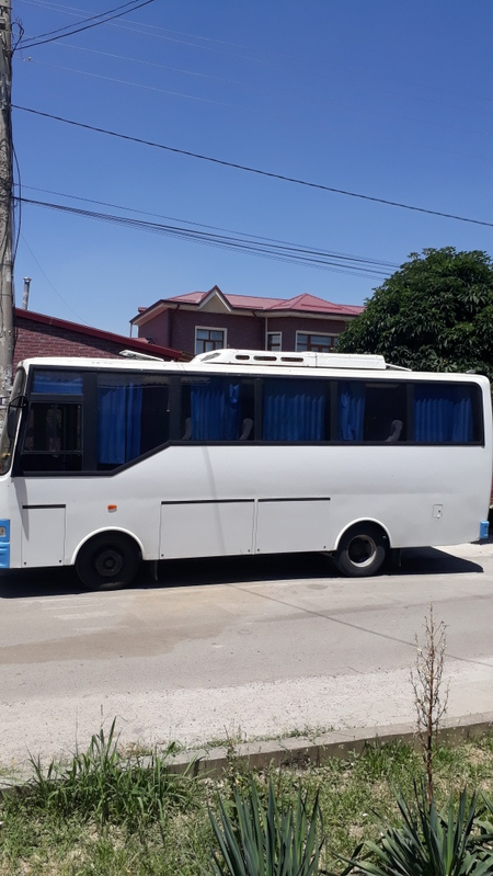 otayo          1989