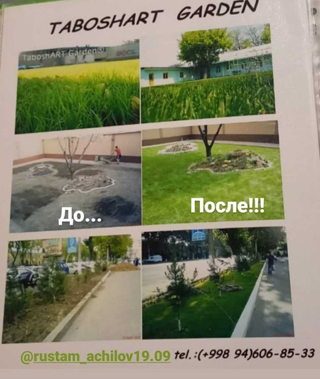 Газон. Комплексный уход. Устройство газона.