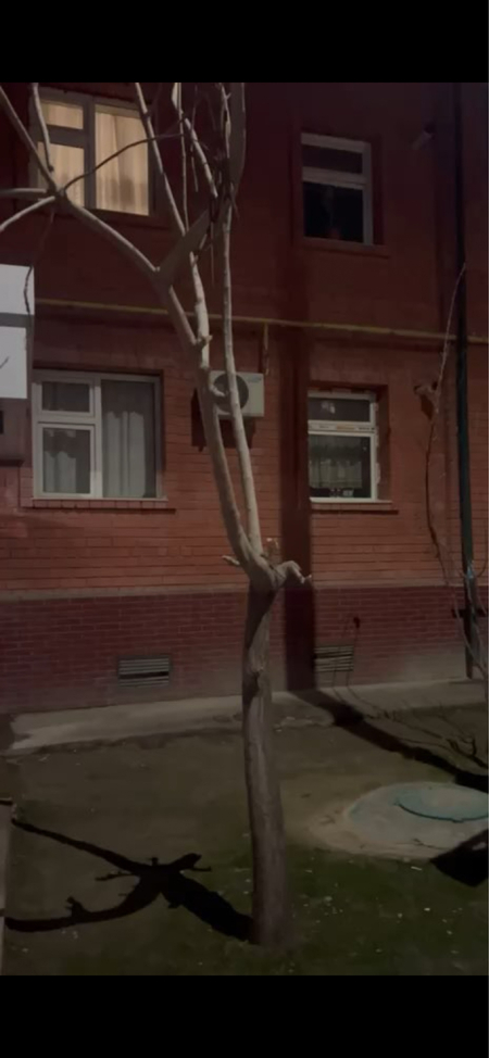 Аренда квартира сергели