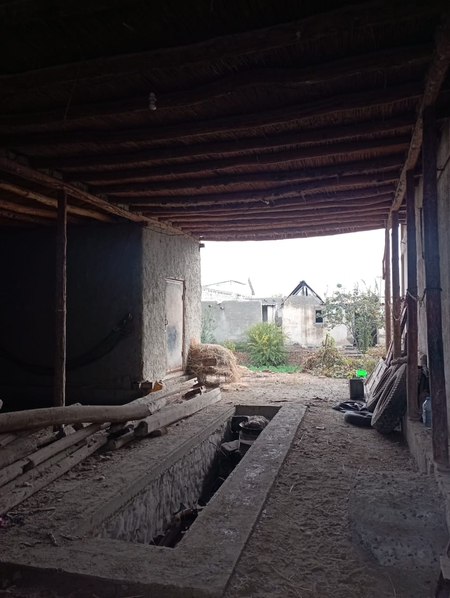Jondor tumanida masla zavod oldida joylashgan katej sotiladi