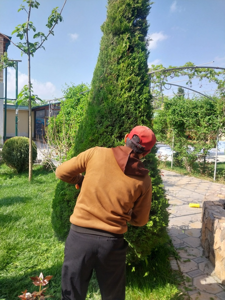 Archa kesamiz  forma beramiz