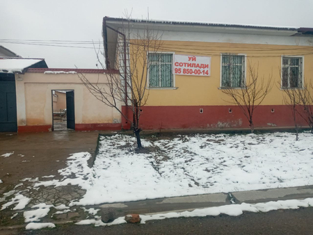 6 sotikli Kotej sotiladi