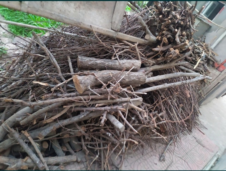 Срочно продаются дрова.