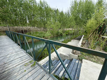 Soy bo'yida Dam olish maskani