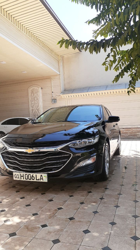 Malibu 2 primier