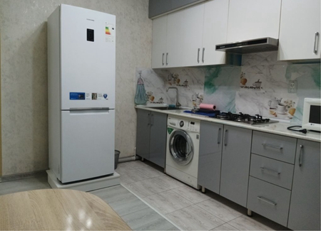 Nrg mirzo ulugbek
