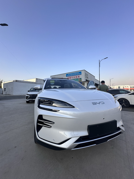 Byd song champion 605