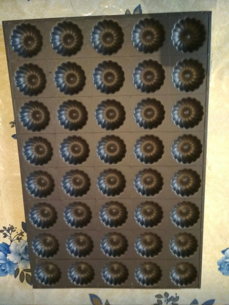 Пширик колиблик листлари
