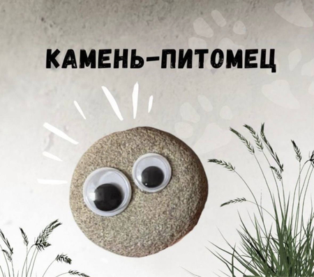 Камень питомец