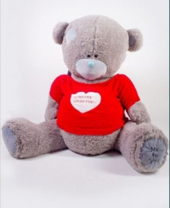 Teddy Teddi Eng Kotta Razmerlari