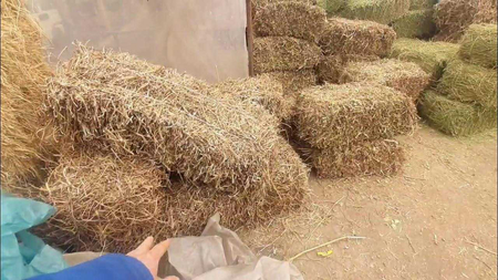 Beda Hashak Press sotiladi. Eng arzon narx. 1 va 3 o'rim. Sifati zo'r!