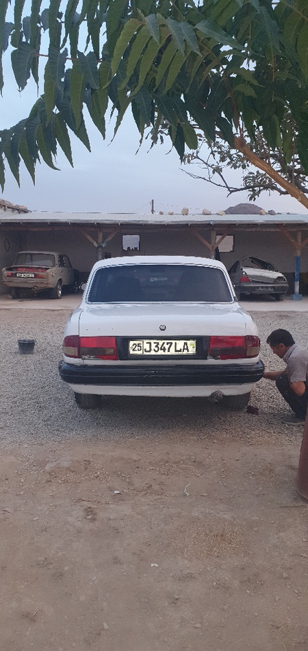 Volga 31 10 volga