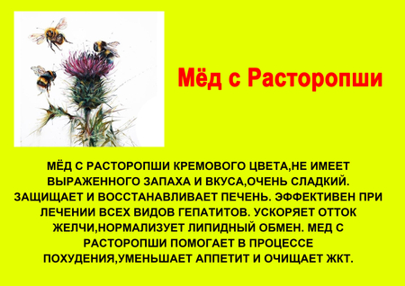 Asaldori Башкирский мёд