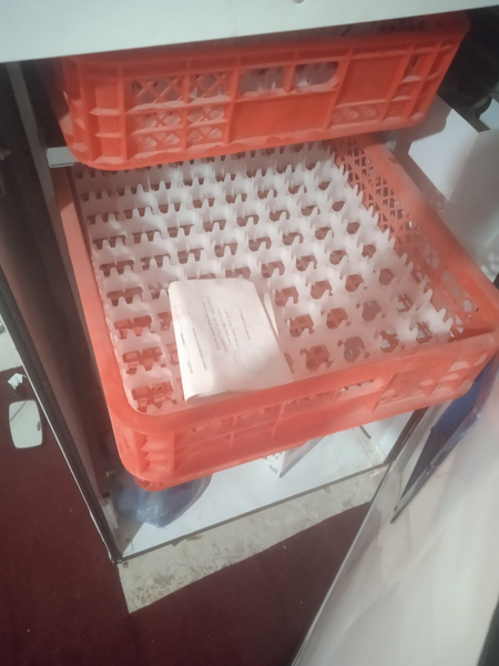 Инкубатор inkubator egg box