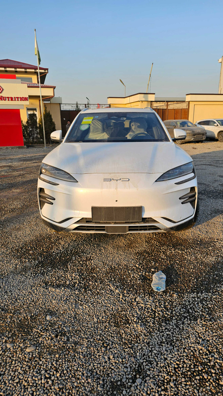 BYD Chempion 605 Oq