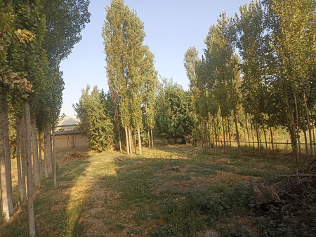 Nurafshonga yaqin joyda yer bor srochna sotiladi dakementlari joyida