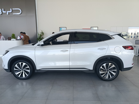 BYD song champion.