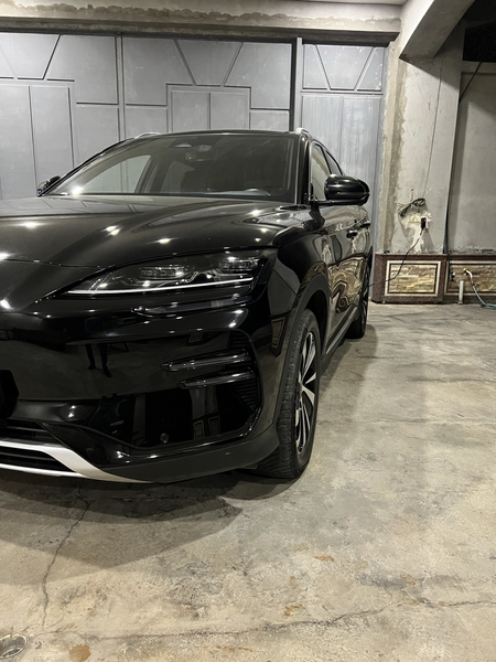 Byd chempion srochna ozimmi nomimda