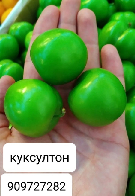 Довча  100 гр 40000