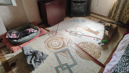 Успей купить..! 3-Комн. 2-Этаж. Феруза.