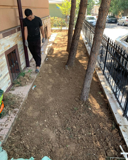 Gazon ekish xizmati
