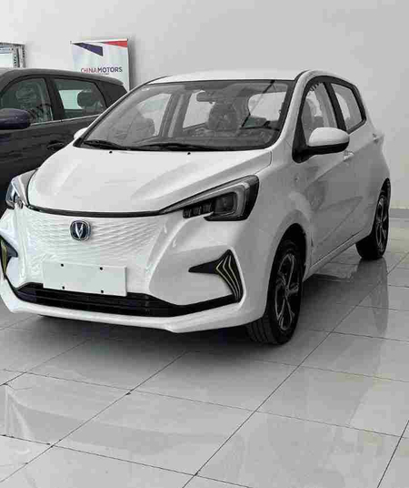 Changan ben ben e-star dogovornaya